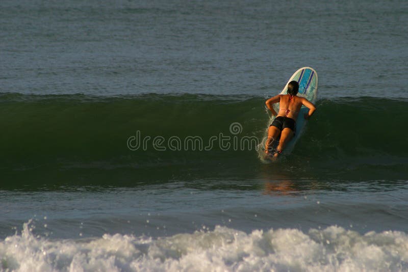 Wave and Surfer Girl stock photo. Image of lifestyle, woman - 1911038