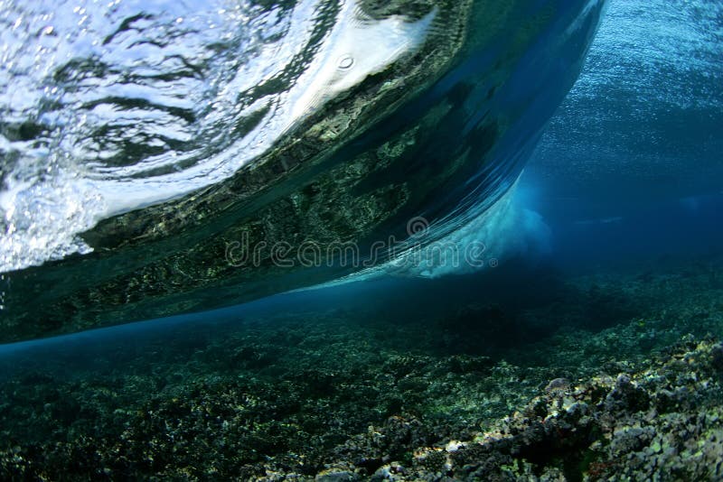 Wave from Behind stock image. Image of ocean, duckdive - 3975121