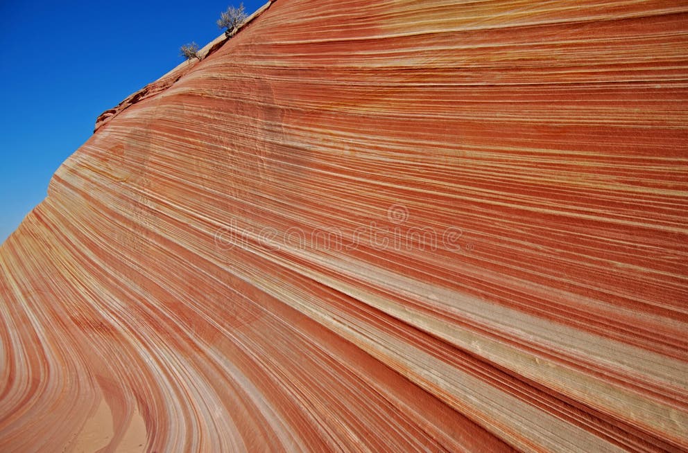 The Wave, Utah 2 stock image. Image of america, undulate - 12271377