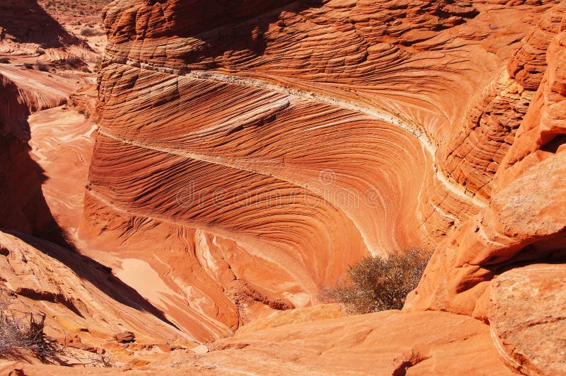 The Wave, Vermilion Cliffs National Monument, Arizona, USA Stock Photo ...