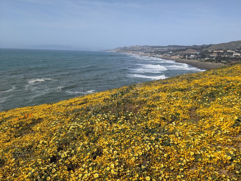 Wavecrest Open Space Preserve Stock Image - Image of open, wavecrest ...