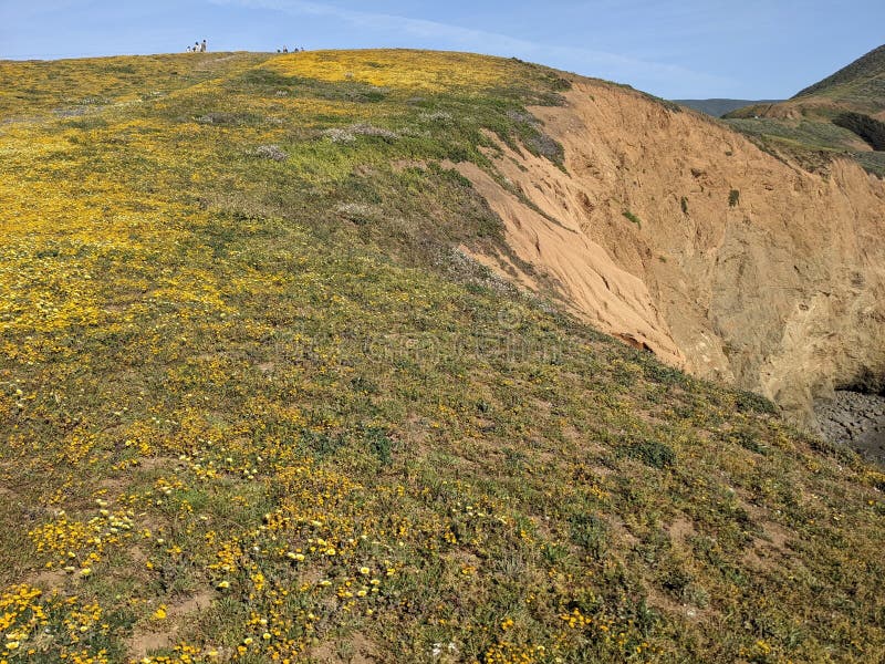 Wavecrest Open Space Preserve Stock Image - Image of beach, preserve ...