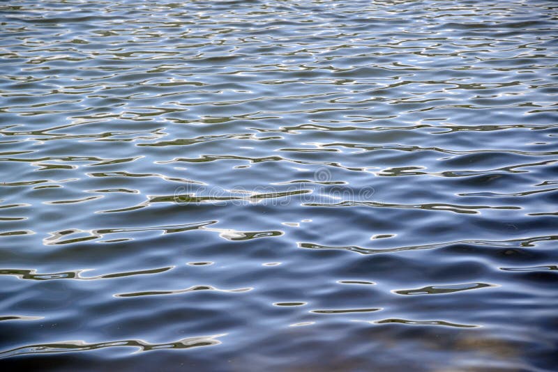 Wavelets on the Sea Surface 2 Stock Image - Image of green, water: 77809889