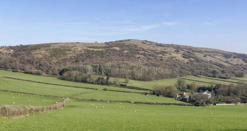 Wavering Down, Compton Bishop Stock Image - Image of british, rural ...