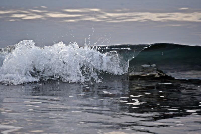 Waves Approaching Sea Shell on Beach during Sunset Stock Photo - Image ...