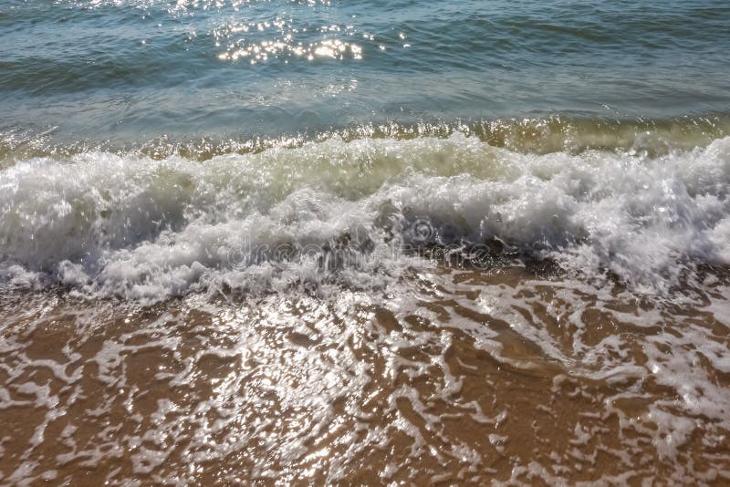 Tidal bore stock photo. Image of sand, summer, vacation - 239633146