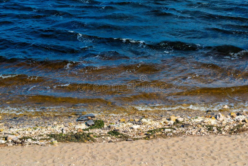 Waves break on the beach stock photo. Image of sand - 193138610