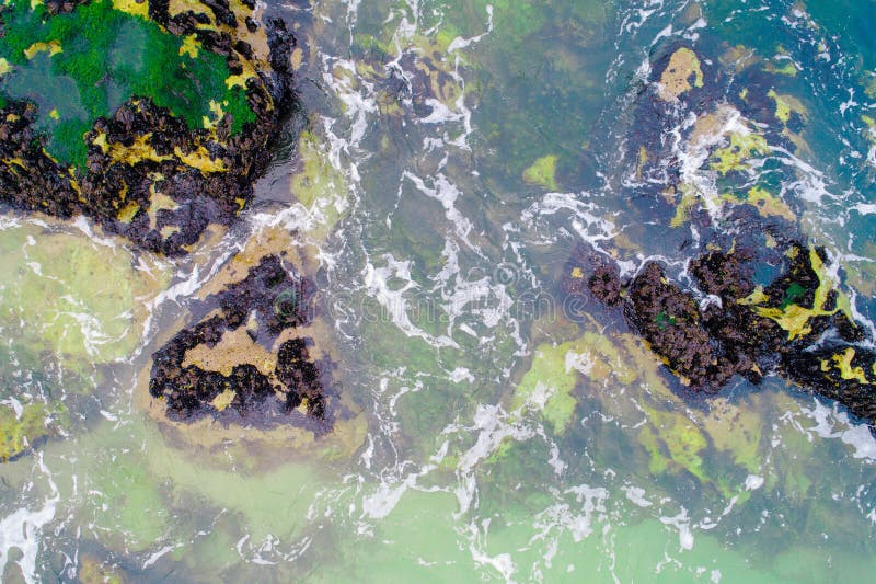 Waves Breaking on Mossy Rocks on the Shore of a Beach, Overhead View ...