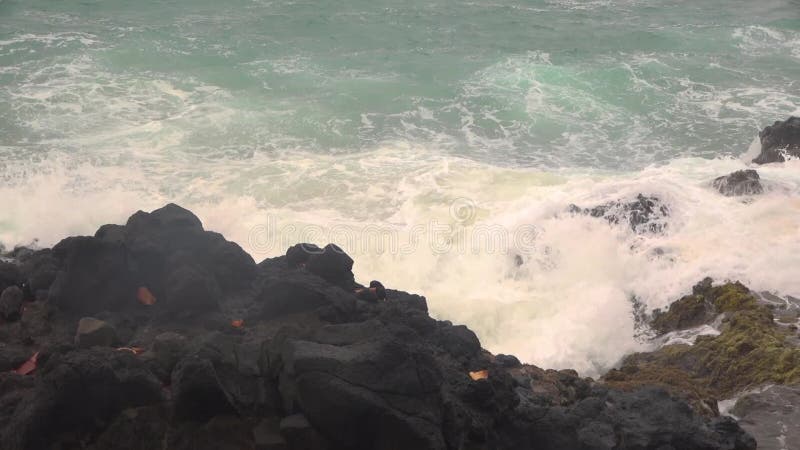 Sea Waves Crash Onto the Sand in Slow Motion Stock Video - Video of ...