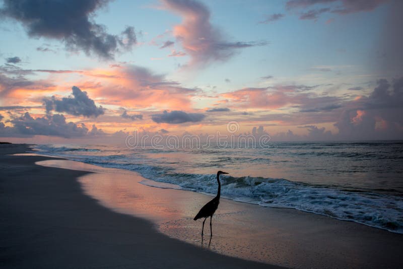 Empty beach at sunsent stock photo. Image of waves, tide - 98047094