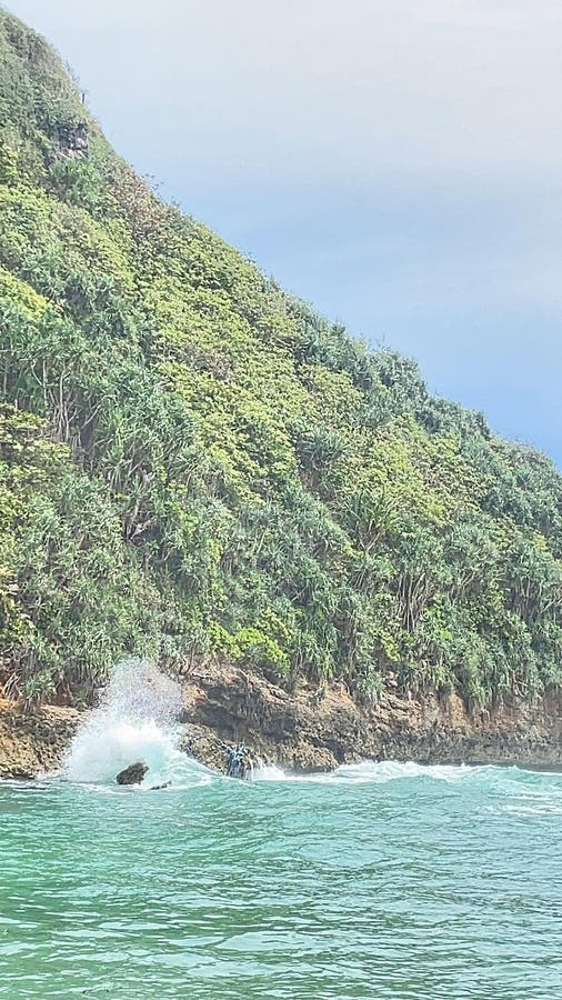 Waves Crashing Onto the Shore Stock Photo - Image of mountain, flower ...