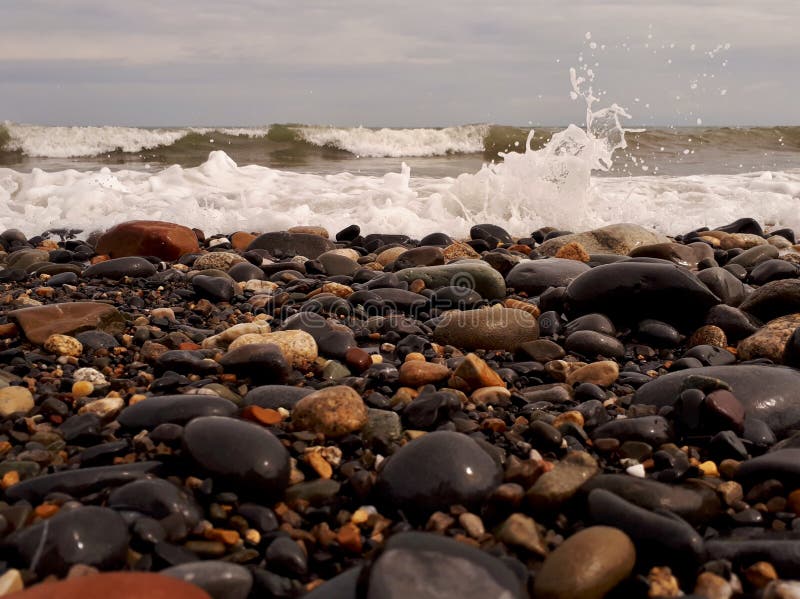 Pebbled shore stock photo. Image of seaweed, stones, panorama - 999008