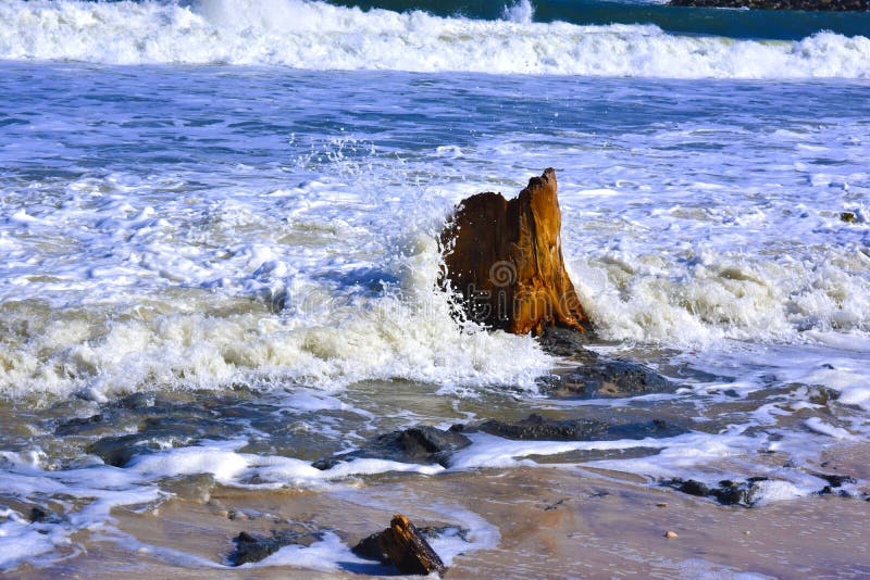 Waves Crashing on a Tree Trunk Stock Image - Image of outdoor, holiday ...