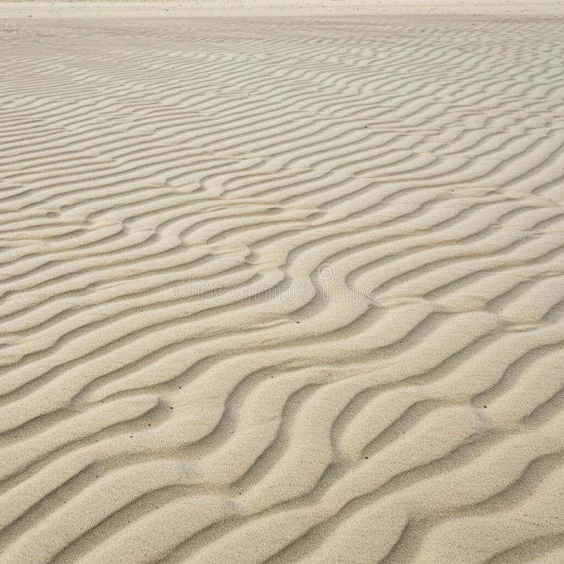 Waves of Fine, Light-colored Sand Create a Series of Natural Ridges and ...