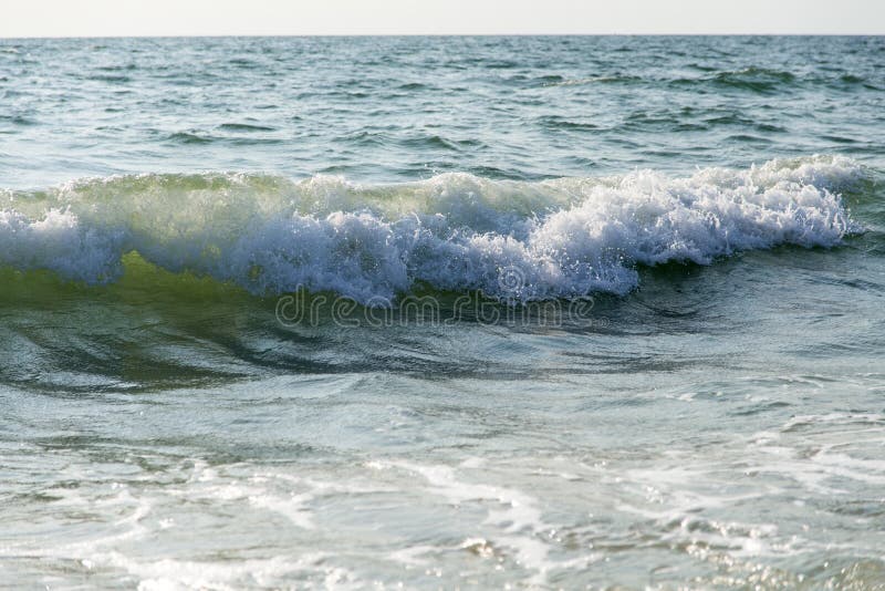 Waves forming on the sea stock image. Image of nature - 58895181