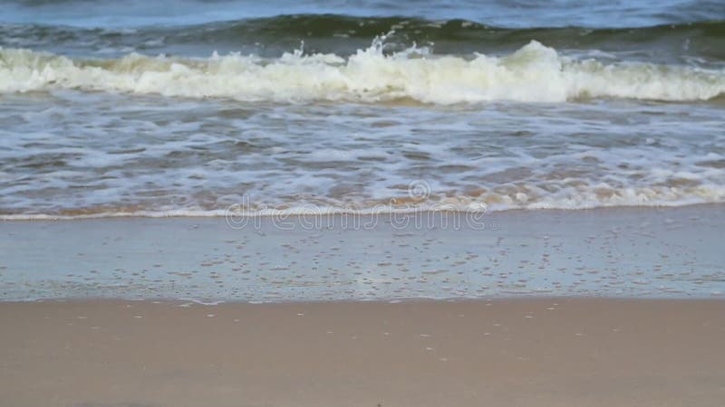 Waves Front View Static Loopable Stock Video - Video of house, loop ...