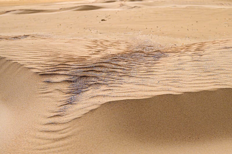 Waves of Golden Sand Create Intricate Patterns in a Sunlit Desert ...