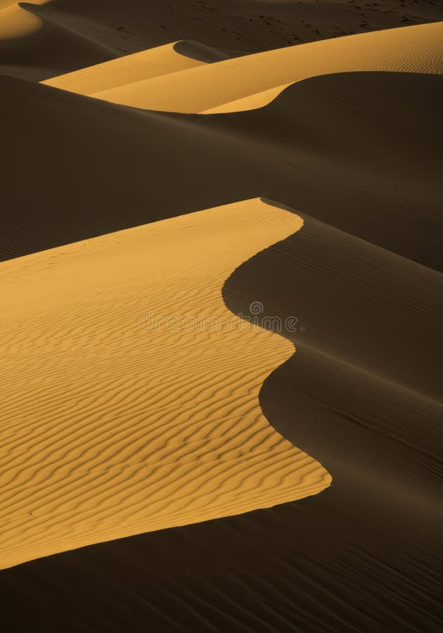 Waves of Golden Sand Dunes Create a Breathtaking Desert Landscape with ...