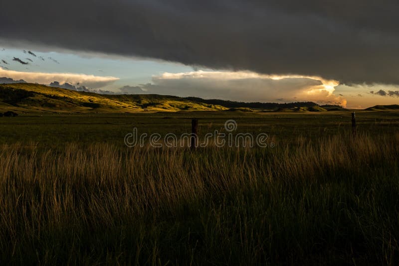 Waves of Grass in Lamar Valley Stock Image - Image of glows, painted ...