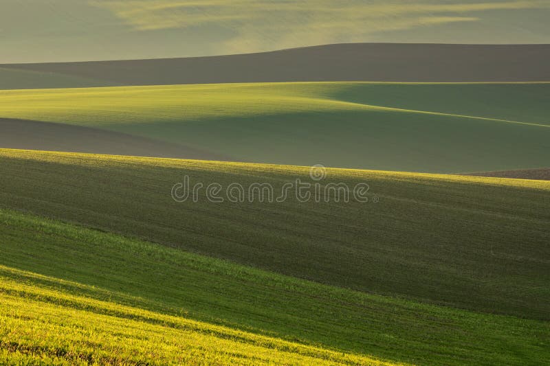 Waves and Hills on the Field. Stock Photo - Image of nature, landscape ...