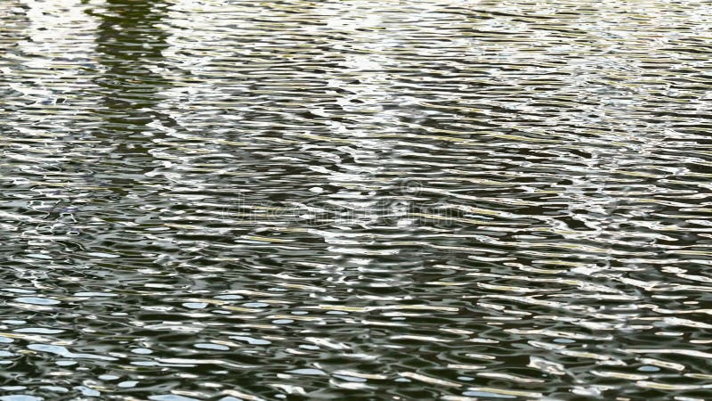 Waves on a Lake and Orange Red Purple Sky after Sunset Stock Video ...