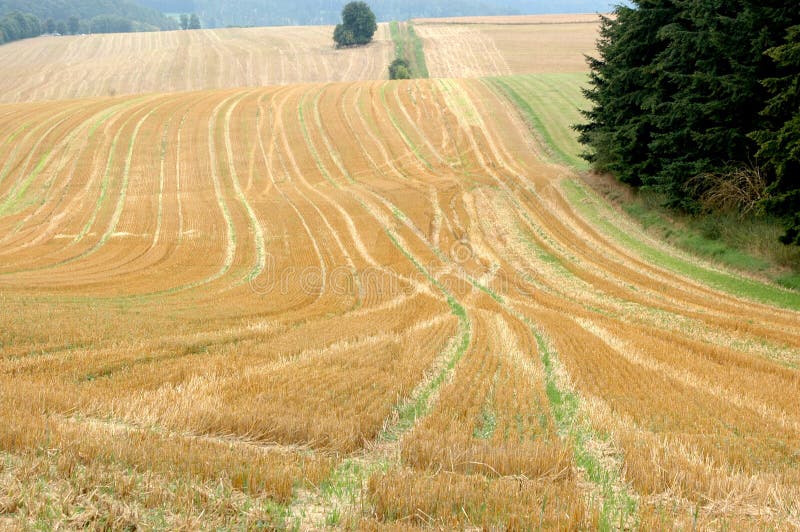 Waves of land. stock image. Image of color, field, billowy - 10531039