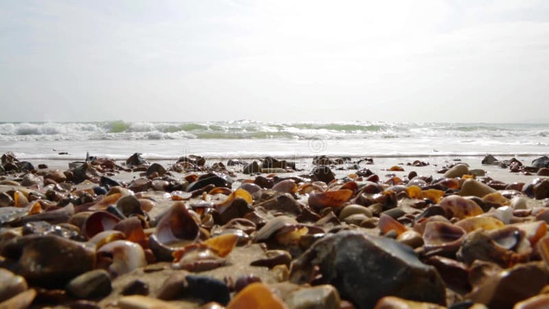 Waves Lapping the shore stock video. Video of panoramic - 45022421