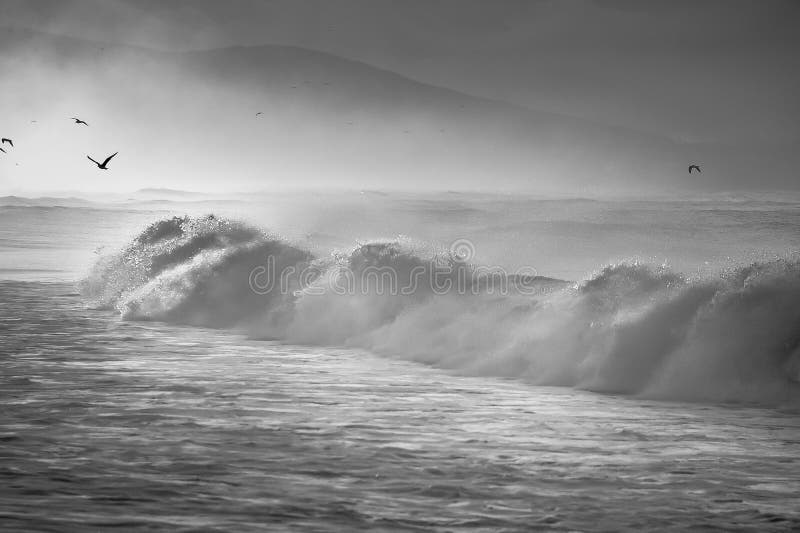 Mist in the Web stock image. Image of textures, soft - 62187685