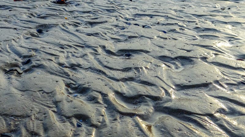 Waves on a Muddy Bottom in a Sea Channel at Low Tide Stock Photo ...