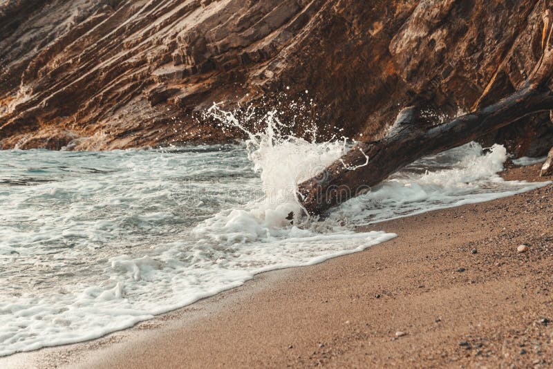 Waves of Ocean Crashing Against an Old Dead Tree Stock Photo - Image of ...