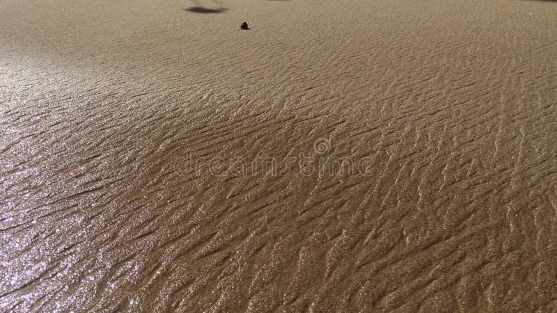 The Waves of the Ocean Leave the Most Beautiful Patterns on the Shore ...