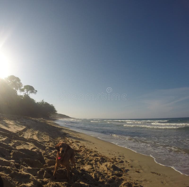 Peace Beach stock photo. Image of sand, beach, wait, hippie - 13096122
