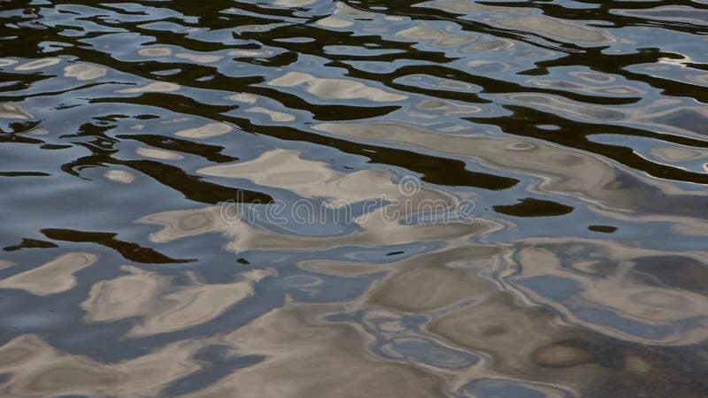 Waves on Pond Water Surface Stock Video - Video of detail, aqua: 40680093