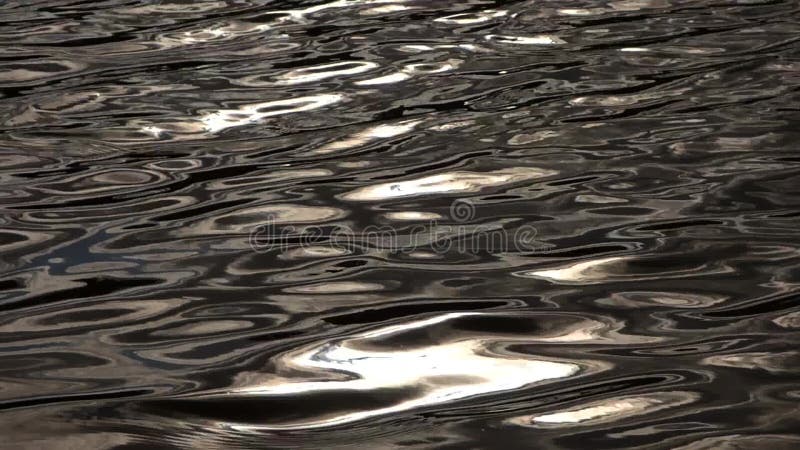 Waves on Pond Water Surface Stock Footage - Video of closeup, detail ...