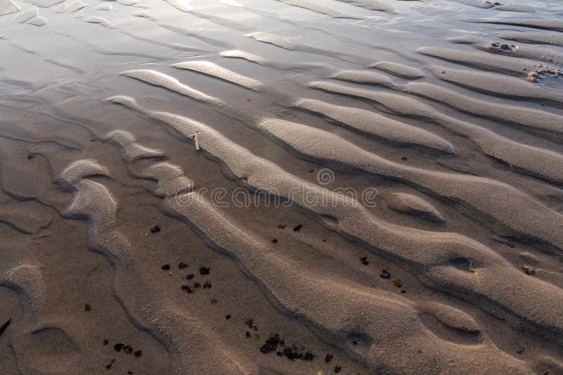 Waves Ripple Patterns on Serene Sandy Beach at Low Tide, Showcasing ...