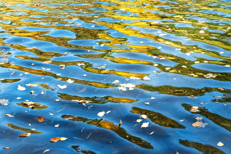 Waves on a River or Lake in Autumn. Lake with Autumn Foliage on the ...