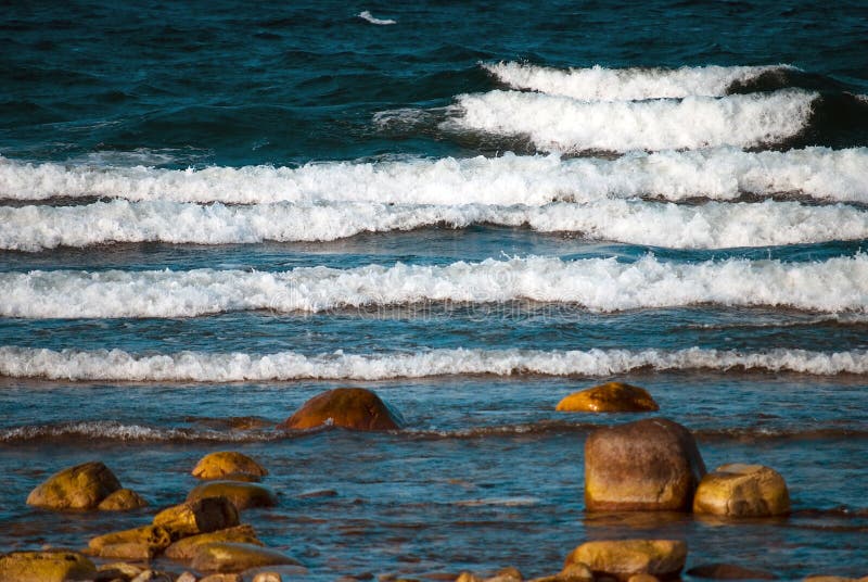 Waves rolling stock photo. Image of coast, windy, scenic - 25709676