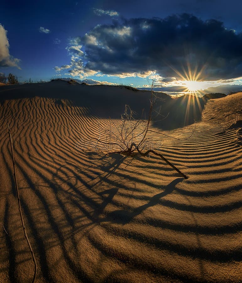 Waves of Sand Desert in the Rays of the Setting Sun Stock Photo - Image ...