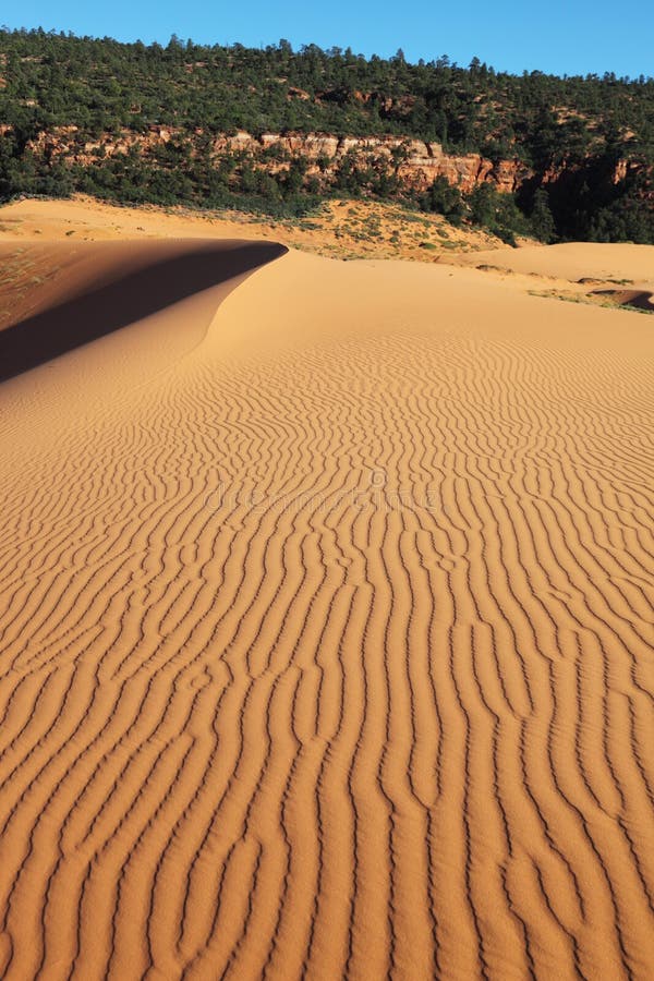 The Waves on the Sand Dunes U.S. Stock Photo - Image of yellow, pattern ...