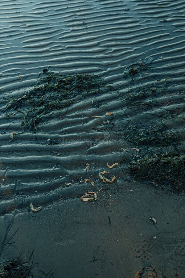Sandwaves, Ripples on Pacific Northwest Beach Stock Image - Image of ...