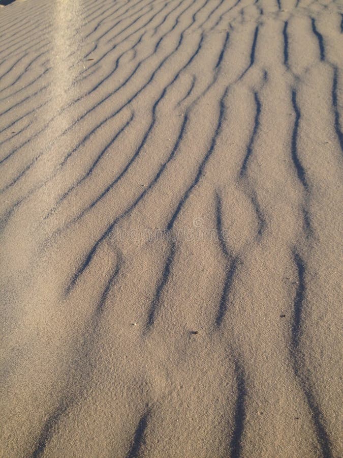 Waves of sand stock photo. Image of sahara, backgrounds - 74755730