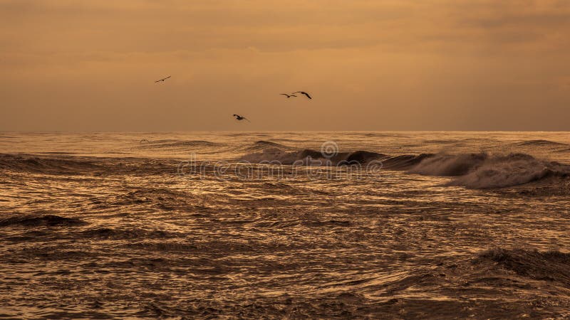 Waves of the Sea Breaking on the Beach, Poti, Georgia Stock Image ...