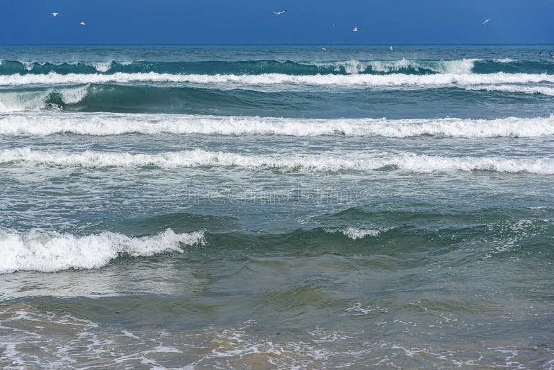 Waves on the Sea Dispersed by the Wind on a Cloudy Day. Stock Photo ...