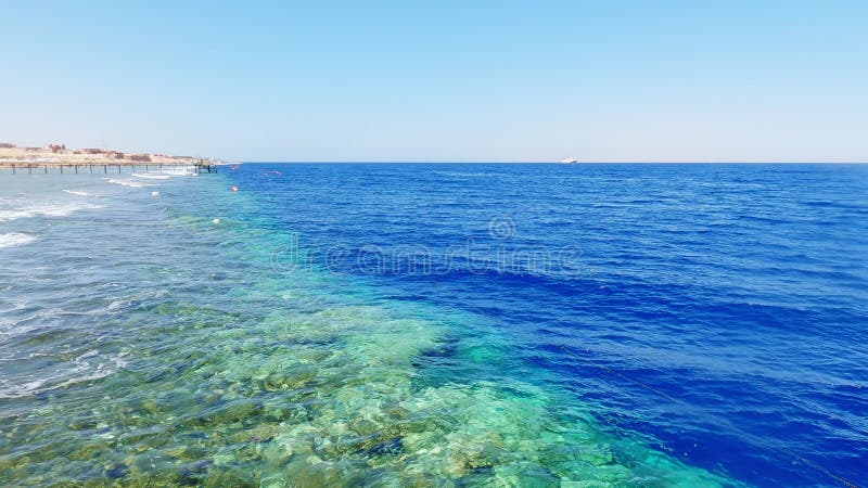 Waves on the Shore, a Beach with a Coral Reef. Stock Footage - Video of ...