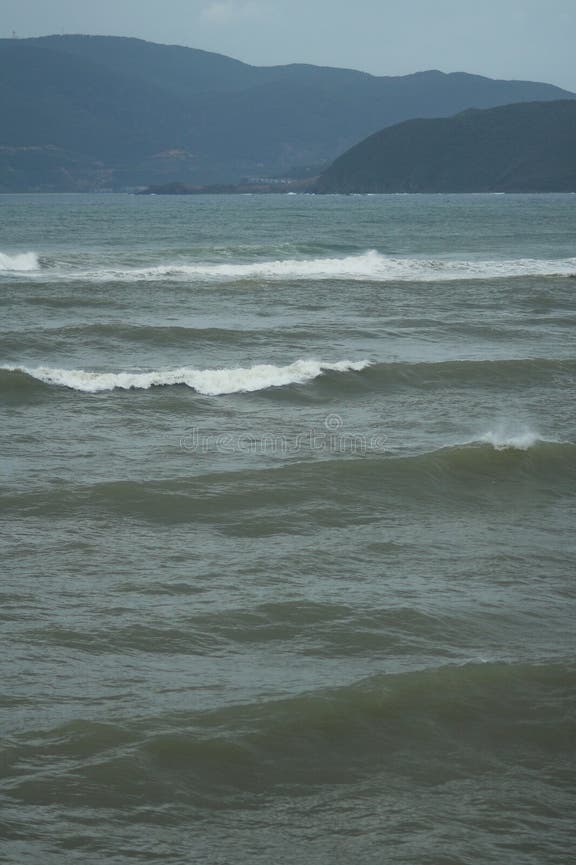 Waves Splash on the Seashore, White Sheep Roll on the Sand Stock Photo ...