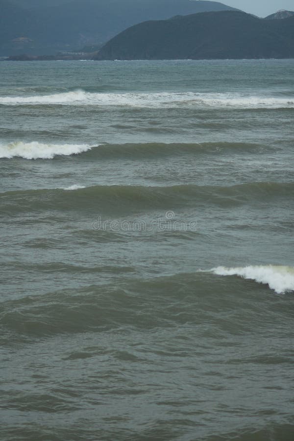 Waves Splash on the Seashore, White Sheep Roll on the Sand Stock Image ...