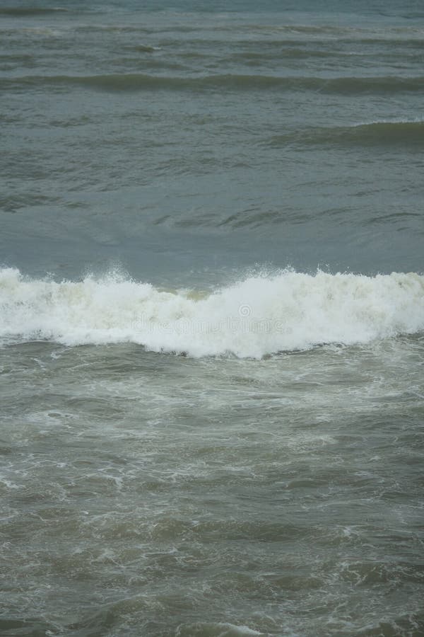 Waves Splash on the Seashore, White Sheep Roll on the Sand Stock Image ...