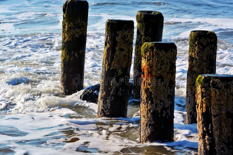 Waves Splashing into Wooden Pilings on the Beach Stock Photo - Image of ...