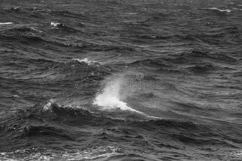 Waves of Stormy Cold Sea on the South of Iceland. Toned Stock Image ...