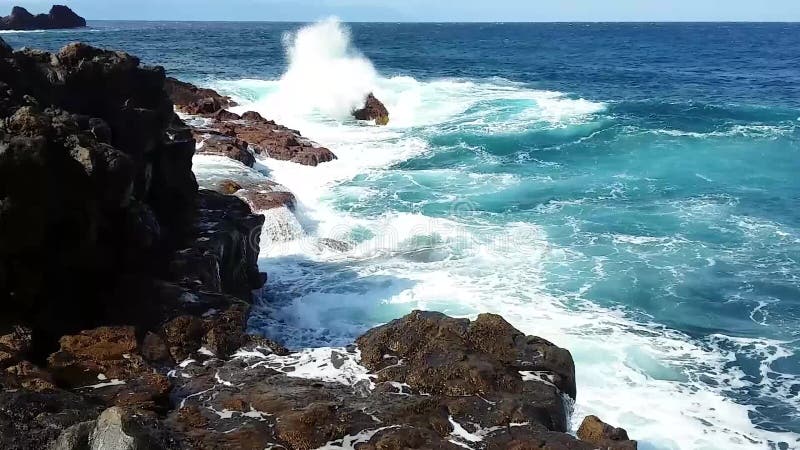 Waves Strike the Shell Which Lies on the Beach Stock Footage - Video of ...
